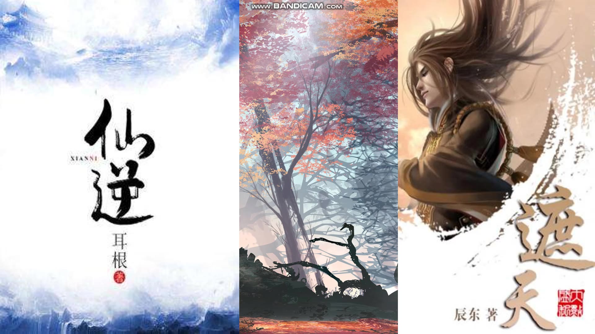 仙侠小说推荐---最近看的一本凡人流修仙小说,有着自己独有的东西,...