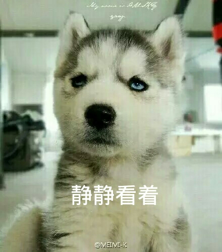 帅气的气球 