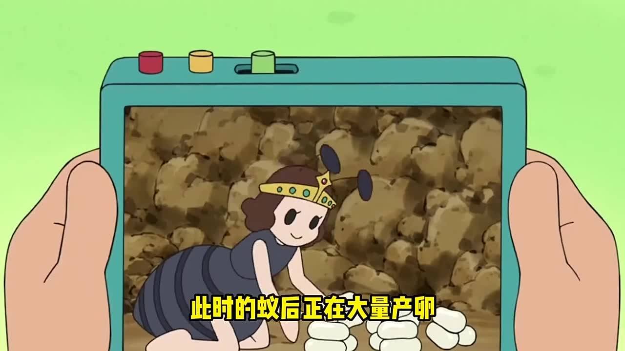 哆啦A梦:大雄的蚂蚁王国(3)
