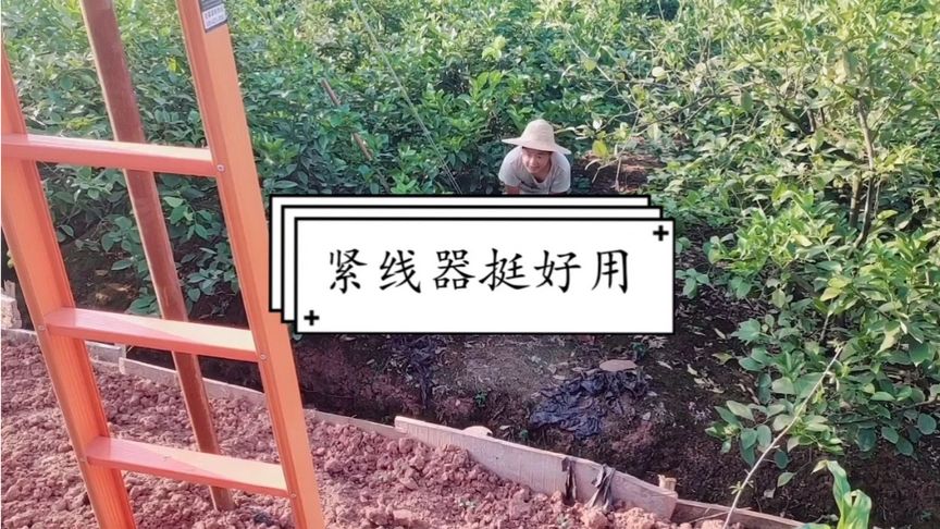 为了搭一个遮太阳的棚,在网上买了一个紧线器,经过测验还挺好用