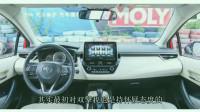 花16万提丰田卡罗拉,开了一年,车主晒出油耗,省油才是亮点!