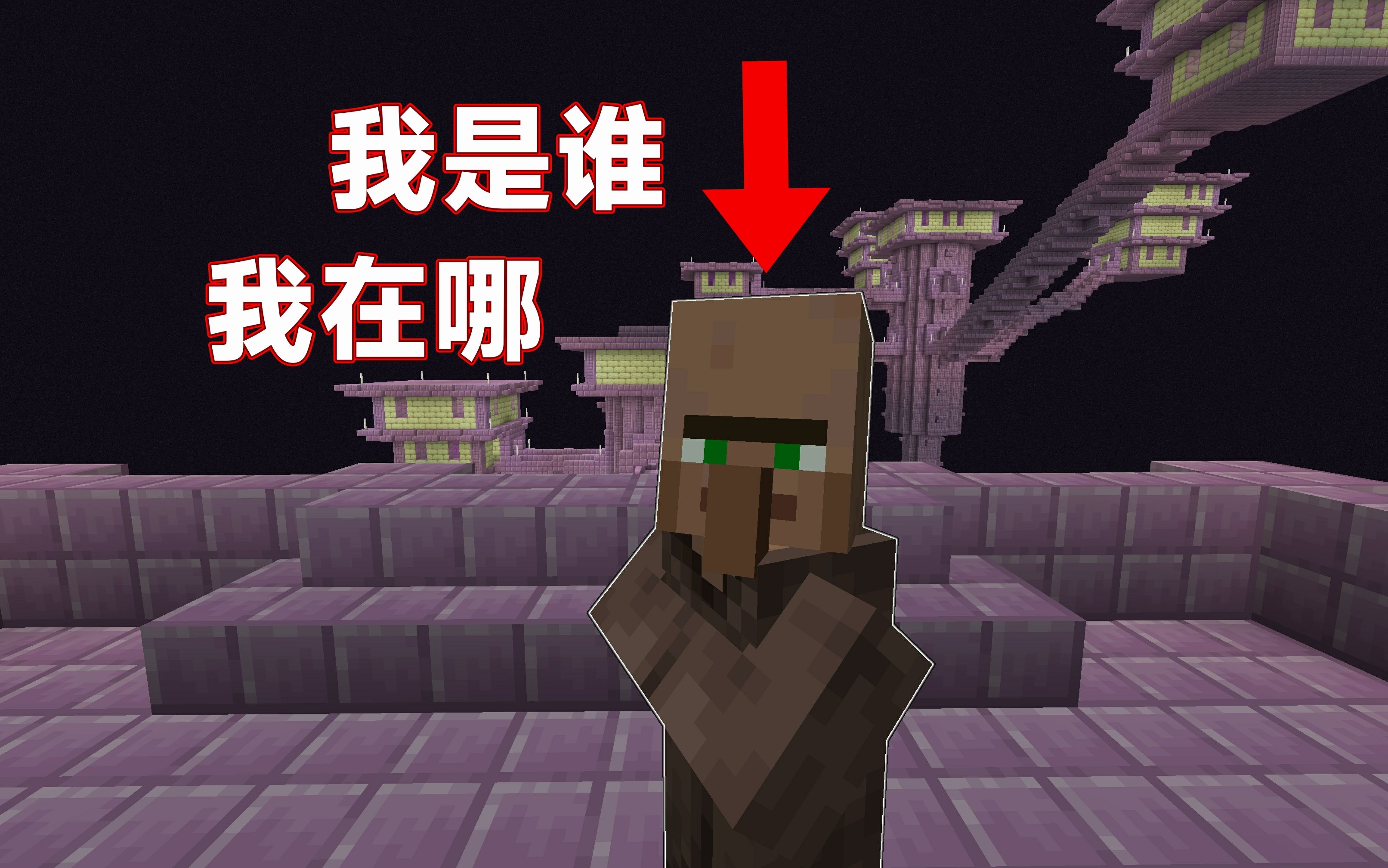 免费帮村民搬家到末地城_我的世界