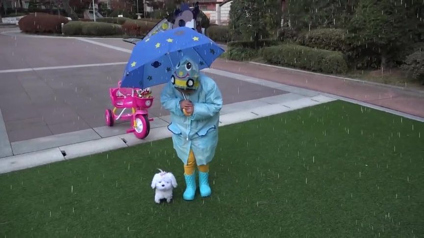 下雨了,小萝莉把雨伞给了淋雨的小动物们,太有爱心了