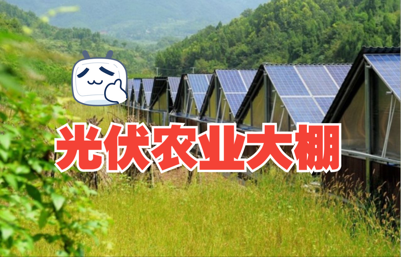 【新能源篇】光伏农业大棚柔性支架