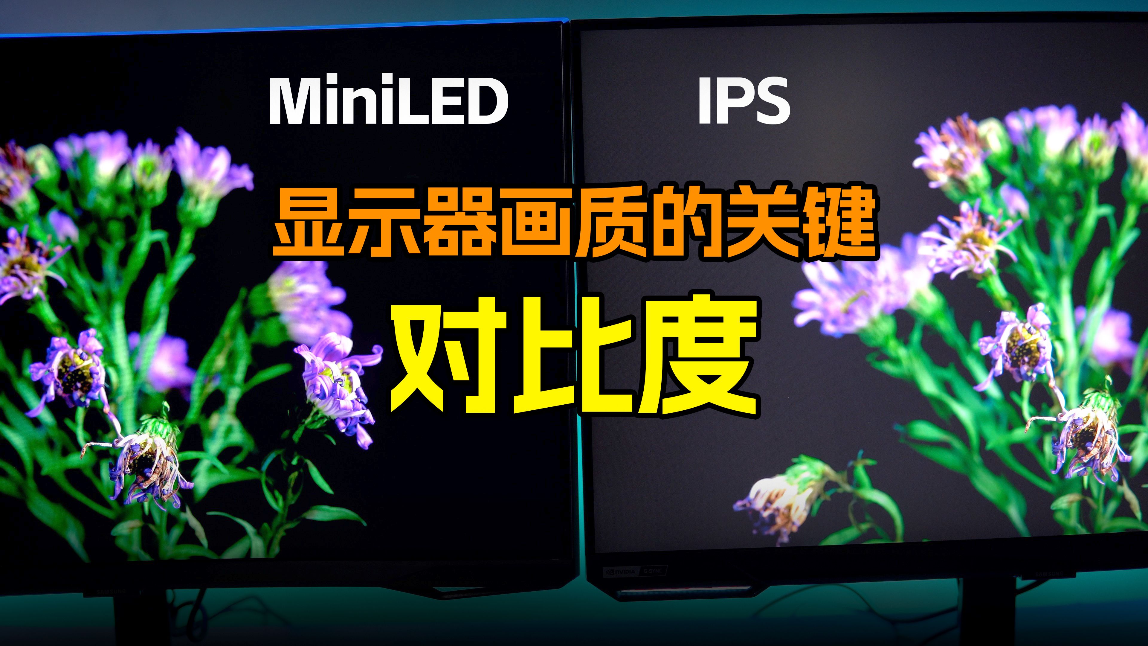 显示器对比度对画质的影响有多大?对比IPS、VA、OLED、MiniLED...