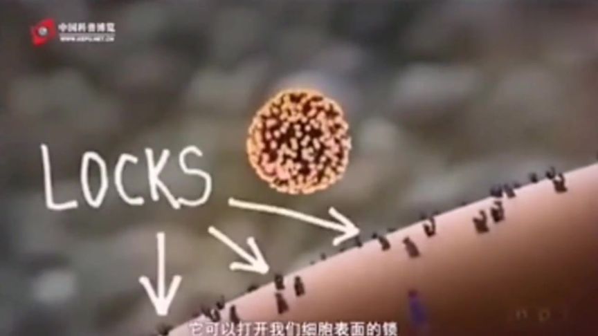 原来病毒的传染整个过程是这样的,看完简直是太惊人了,果断分享
