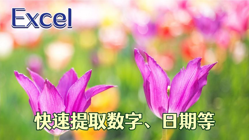 Excel:极好用的“快速填充”功能,提取数字、日期、文本等