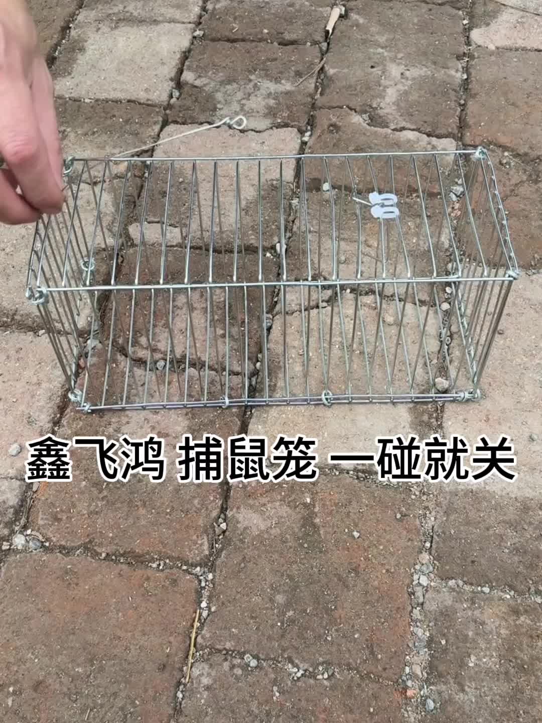 家里老鼠乱窜?这款自动捕鼠器帮你搞定! 家里有小动物出没?这款神器...