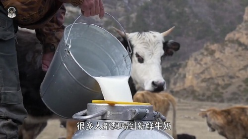 一样是,高温灭菌奶和巴氏杀菌奶有什么不同?官方旗舰店