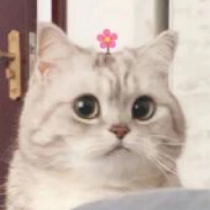 烧焦的小兰花 