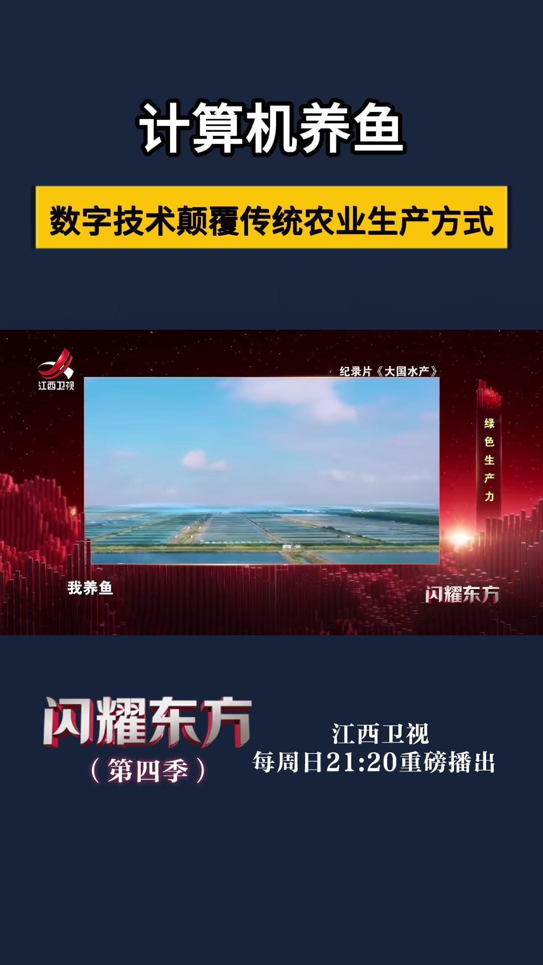 计算机养鱼,数字技术颠覆传统农业生产方式#闪耀东方第四季#数字技术