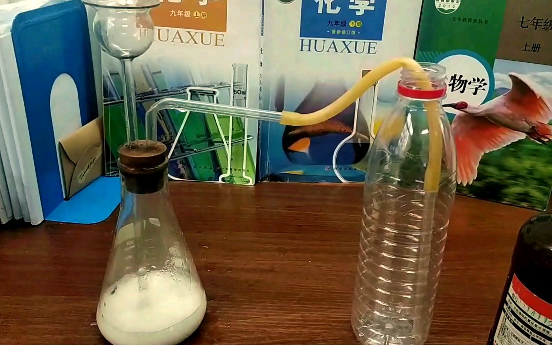 【化学实验】二氧化碳的制取与性质(化学小莫)