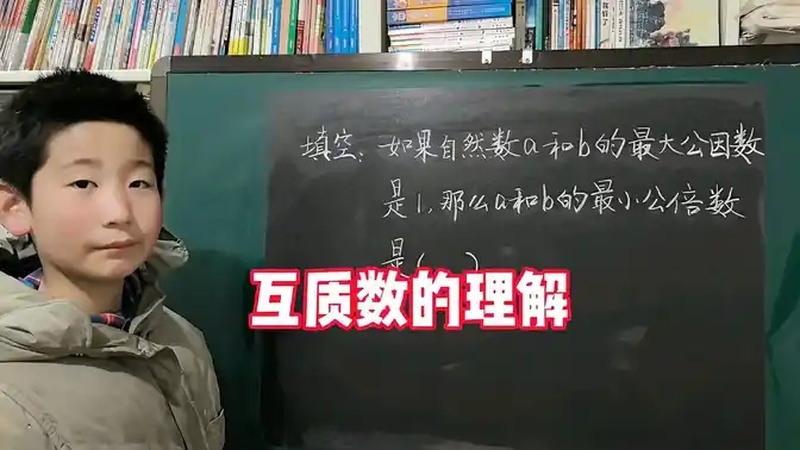 互质数就是只有公约数1的两个数