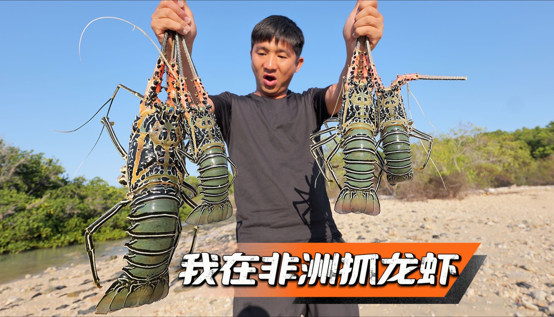 《科摩罗》第3集:独闯非洲红树林,大青蟹还未开始抓,竟先发现大龙虾...