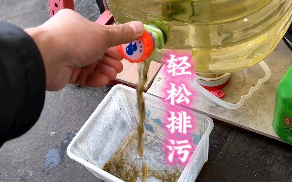 日常快乐养鱼!简易流化床过滤系统稳定运行,不洗过滤棉,只喂鱼和排污