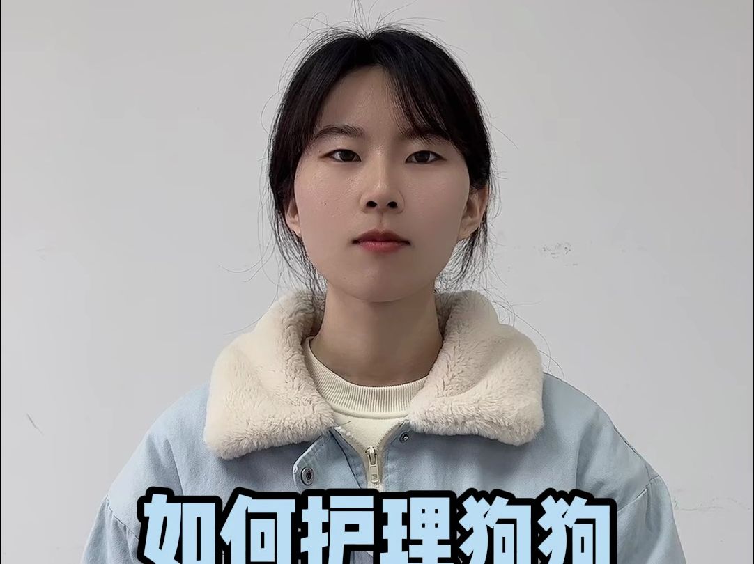 如何护理狗狗关节疾病