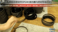孔用组合密封件SPGW(挡圈与密封环)密封产品