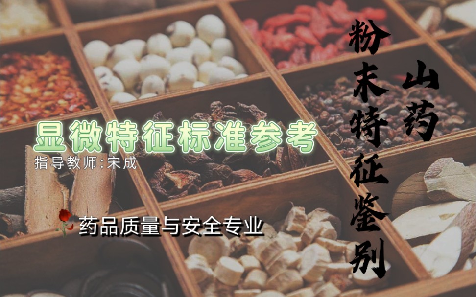 ...特征鉴别-显微结构特征展示:1淀粉粒 2草酸钙针晶 3导管 4筛管 5纤维