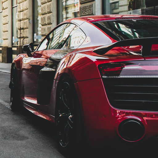 十年读书莽撞人 