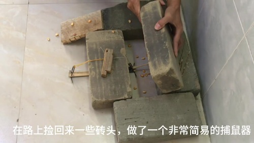 农村小伙太有才了,用几块砖头做了一个捕鼠器捕鼠神器手工创意
