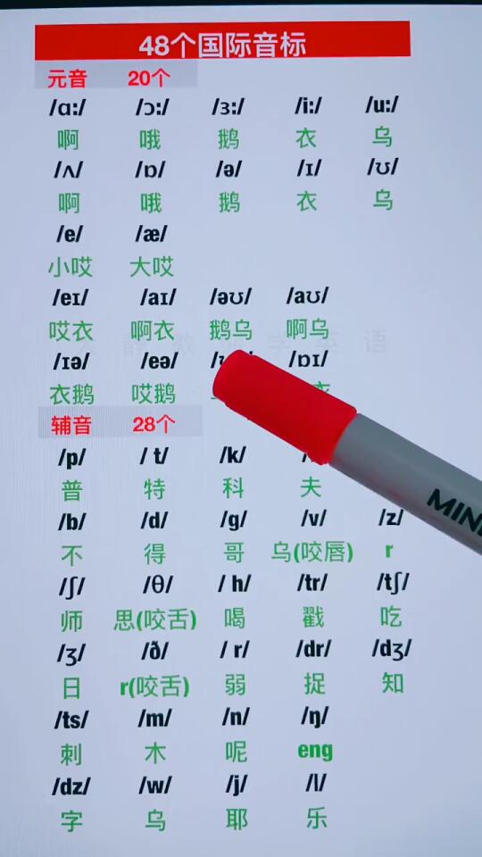【小学英语】必备知识:48个国际音标发音