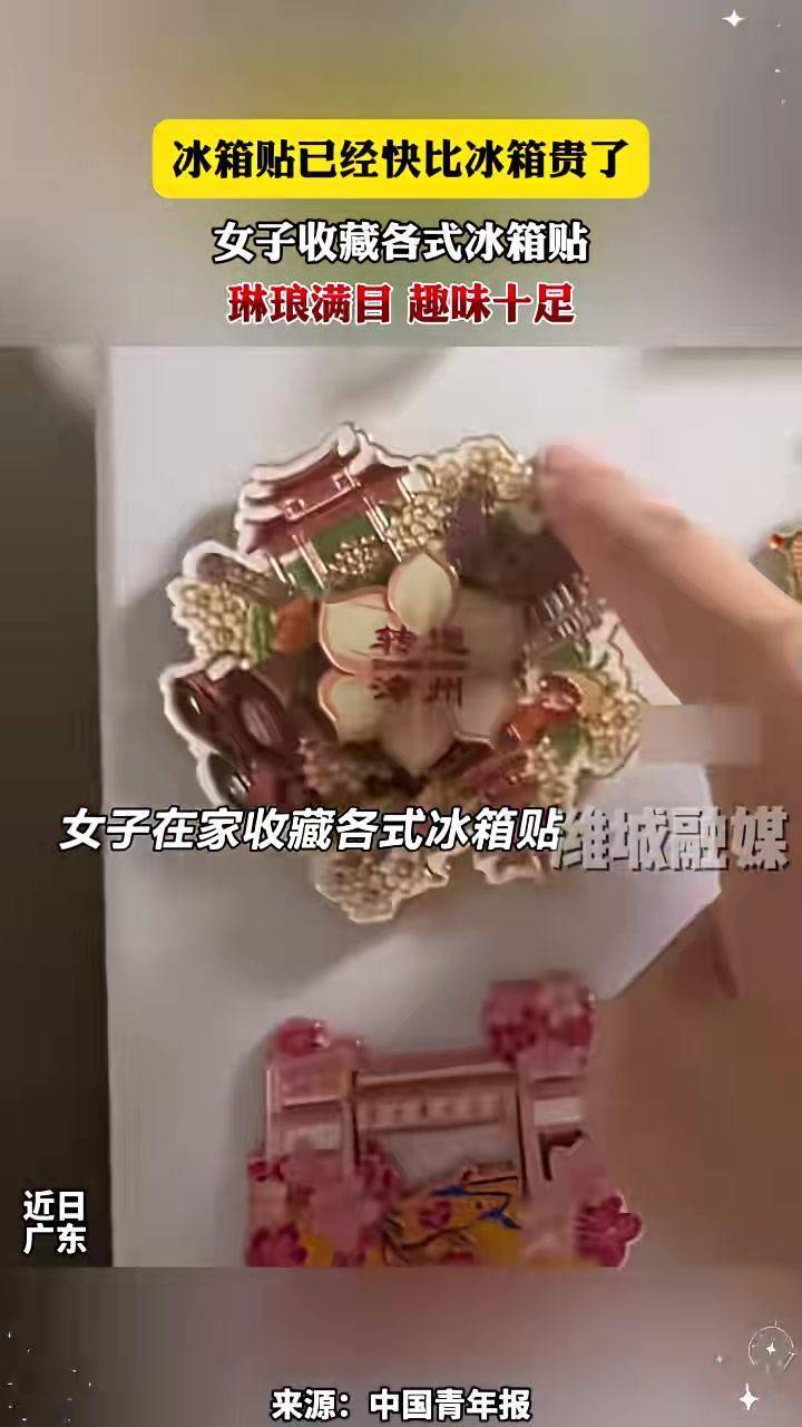 冰箱贴已经快比冰箱贵了!女子收藏各式冰箱贴,琳琅满目,趣味十足!(...