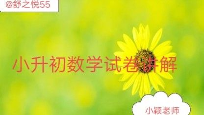 小学数学小升初试卷详细讲解(五)应用题