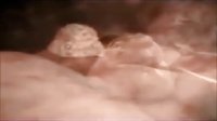 3D动画演示婴儿从受精到诞生过程(l'odyssée de la vie)