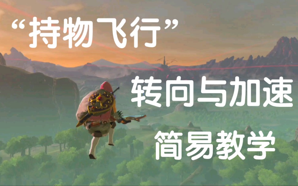 【塞尔达传说~旷野之息】“持物飞行”转向与加速~简易教学