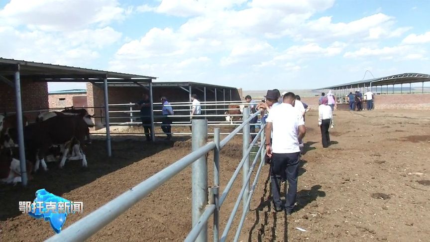 学习先进经验,助推乡村振兴