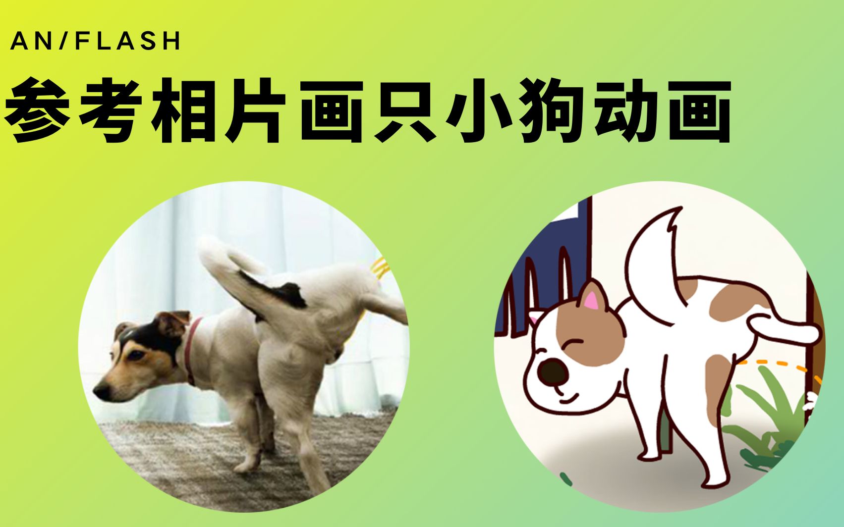【AN/flash绘画】参考实物相片画一只小狗动画