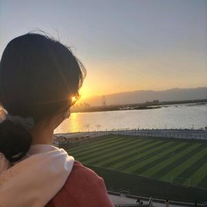 大橘子爱追剧 