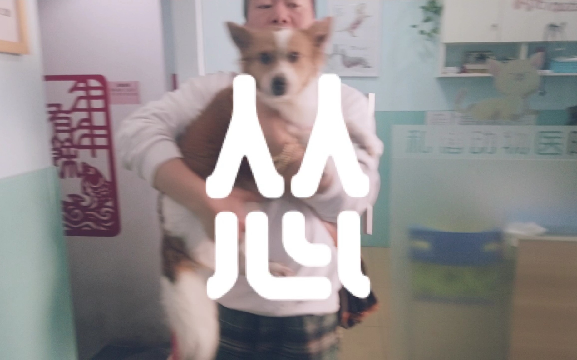 打个八联能吓死这条狗( ･᷄৺･᷅ )