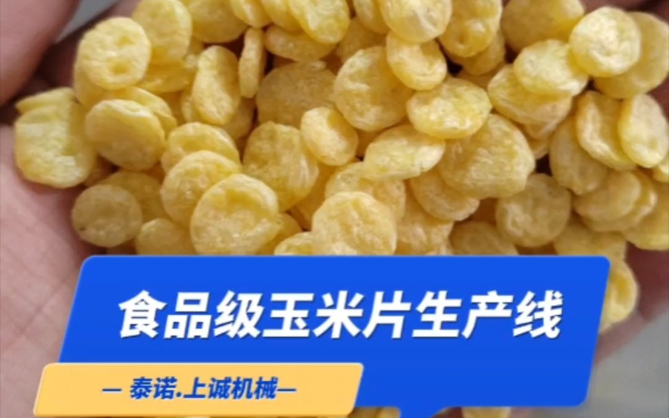 早餐玉米片生产线、玉米片制作工艺流程设备