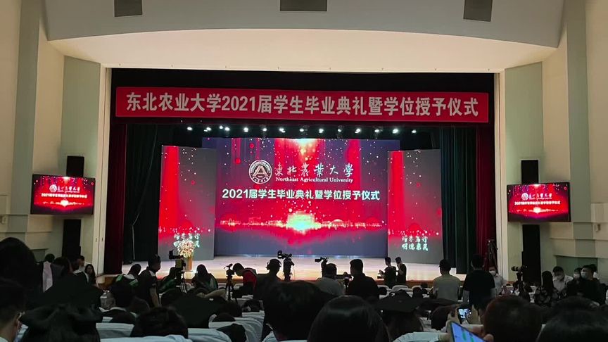毕业啦ߎ�未来可期#毕业 #毕业季 #东北农业大学 #硕士毕业