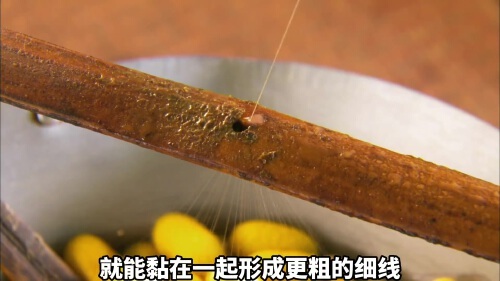 丝绸是如何制作出来的?