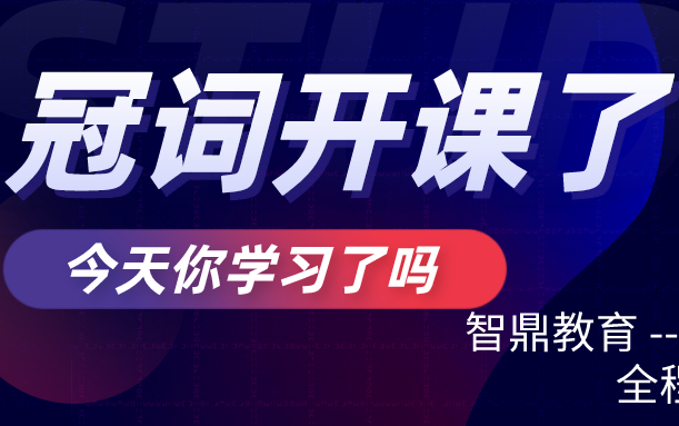 中考英语(全国山东青岛)冠词1