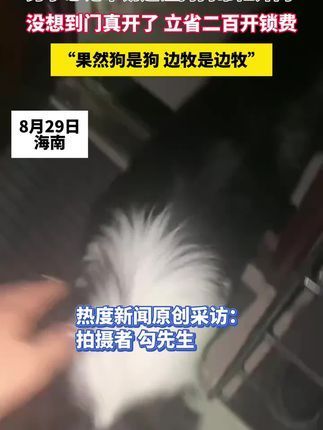 男子忘记带钥匙让狗狗帮忙开门,没想到门真开了 立省200开锁费,"果然...