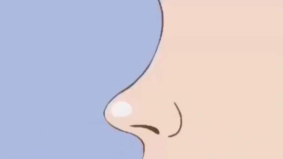 肋骨鼻3D动画视频