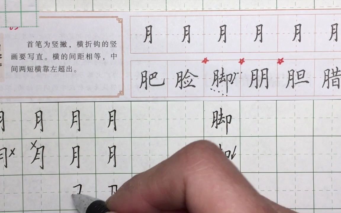 硬笔书法怎么练,硬笔书法 小学生练字全集,中国硬笔书法协会