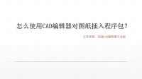 怎么使用CAD编辑器对图纸插入程序包?