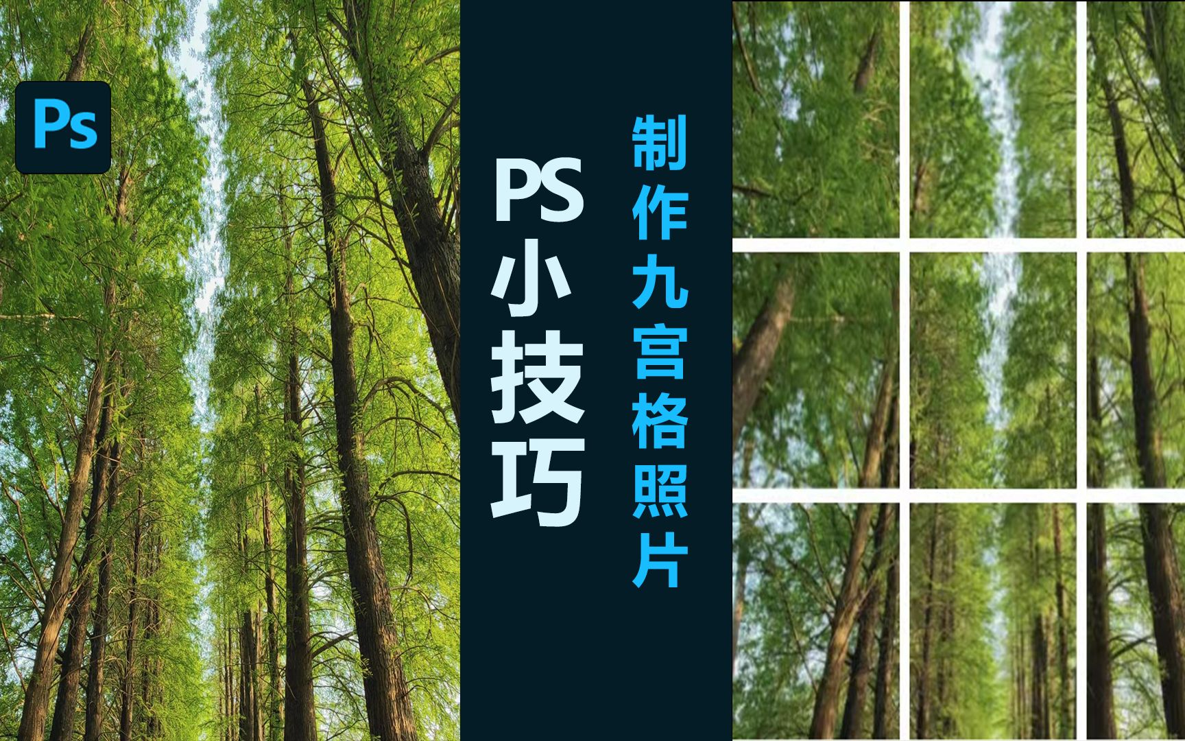 每天一个PS小技巧:制作九宫格照片