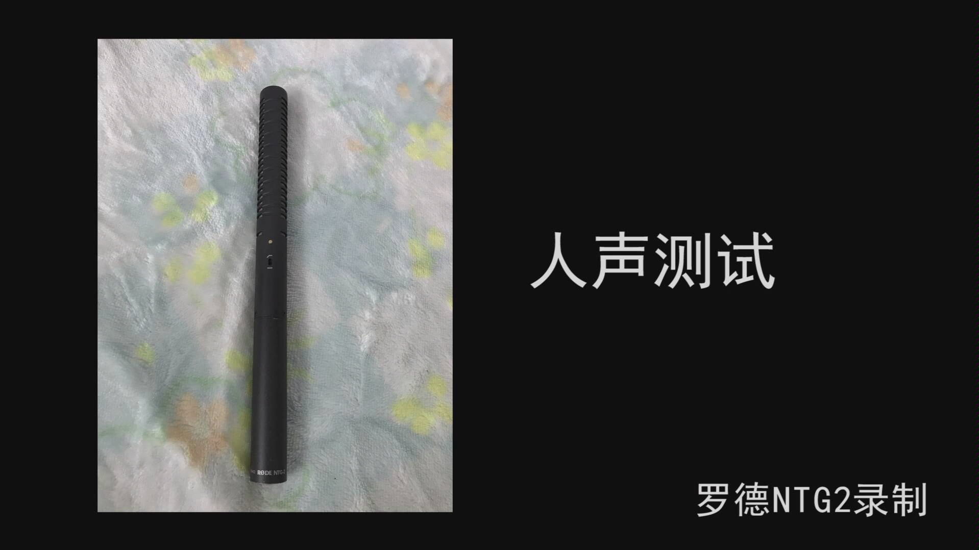 罗德NTG1、NTG2的音质对比评测