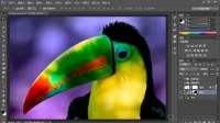 ps字体安装 ps 快捷键 ps钢笔工具怎么用