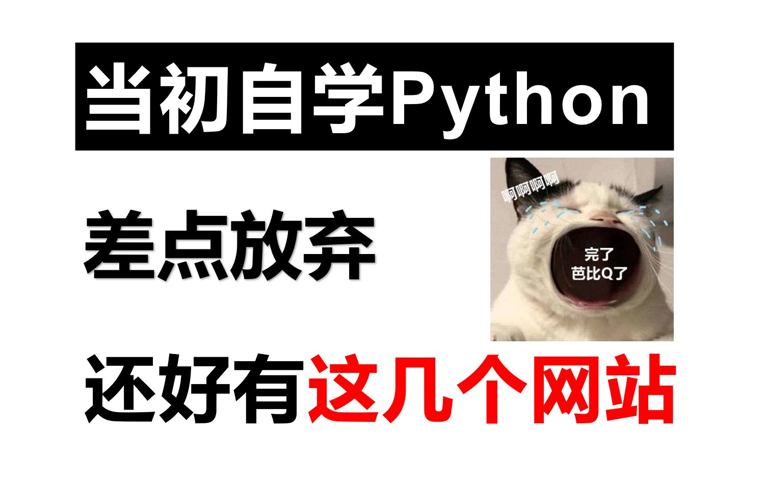 当初自学Python差点放弃,还好有这几个网站