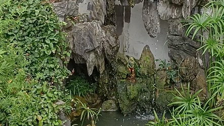 长寿寺之《乘物园》