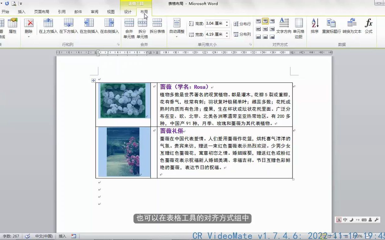 703-word图片与表格布局排版