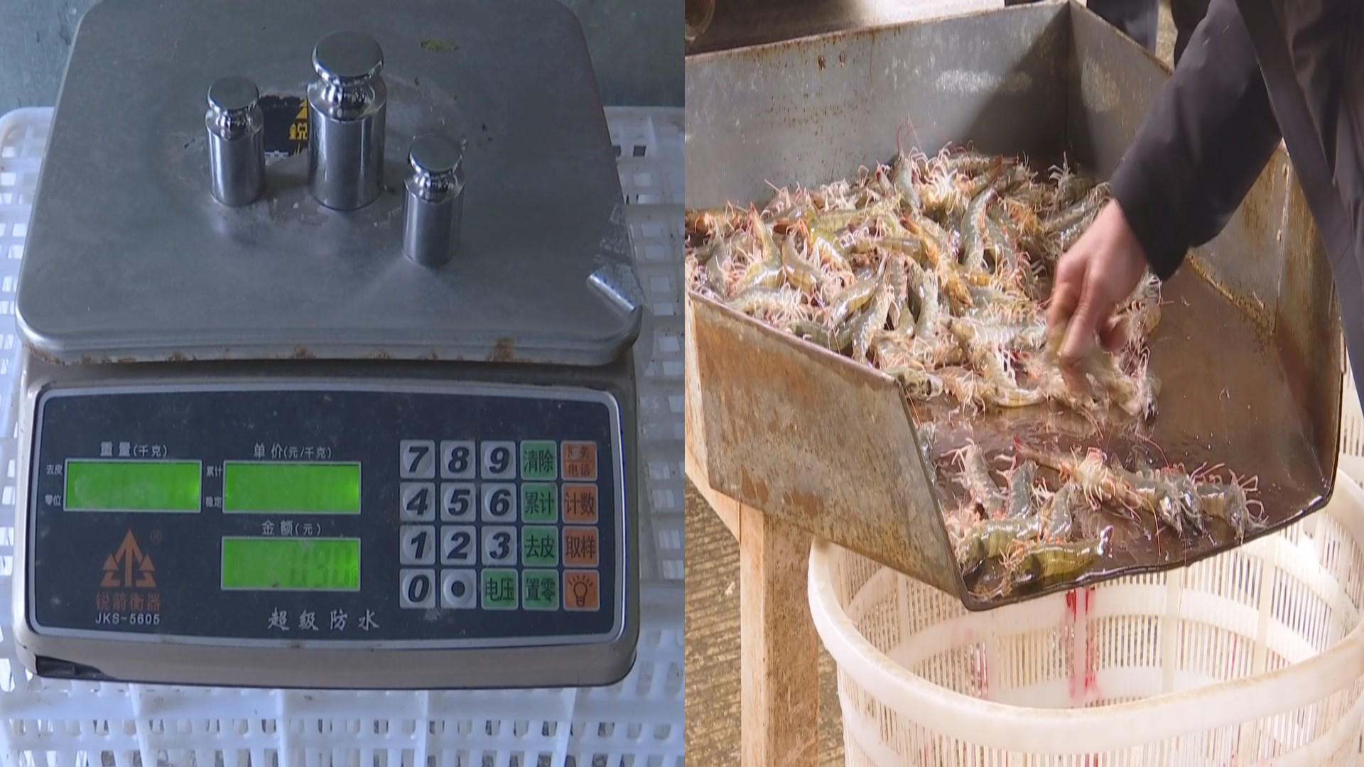 杜绝短斤少两!执法人员突击检查商家电子秤,守好餐桌安全