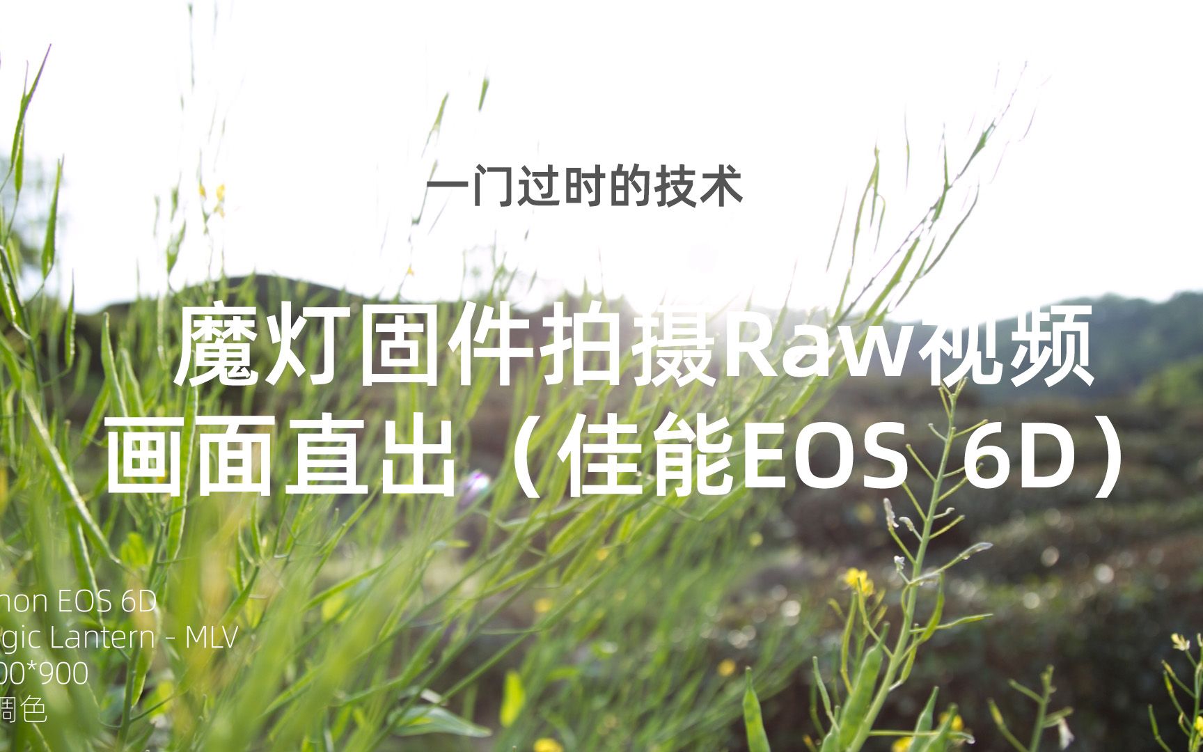 佳能EOS6D使用魔灯固件拍摄RAW视频(MLV)测试画面