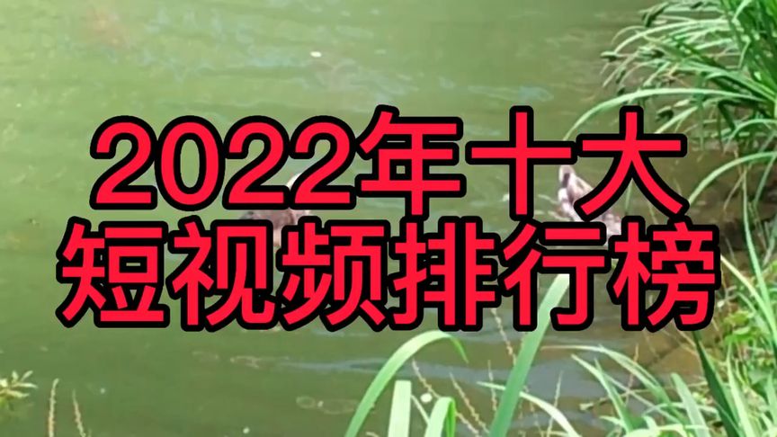 2022年十大短视频排行榜,你玩儿的平台排名怎么样?